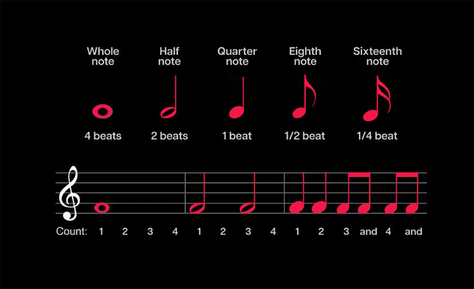 Children's Educational Guide: Learn How to Read Music Notes