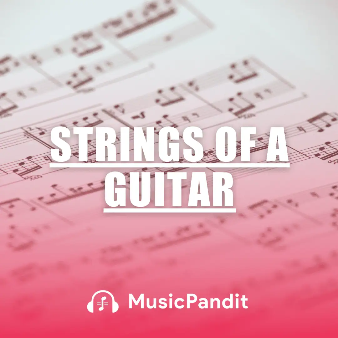 Guitar String Names and Numbers Explained- 6 Strings of a Guitar